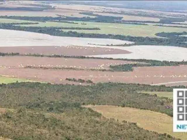 Fazenda para Venda em Água Boa/MT Zona Rural 4 Quartos