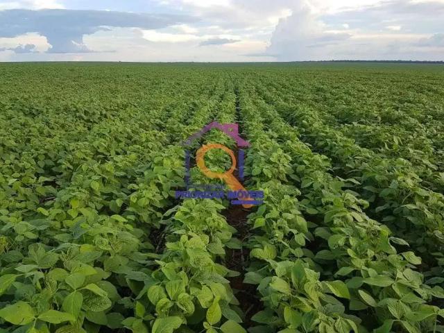 Fazenda para Venda em Água Boa/MT Zona Rural 4 Quartos