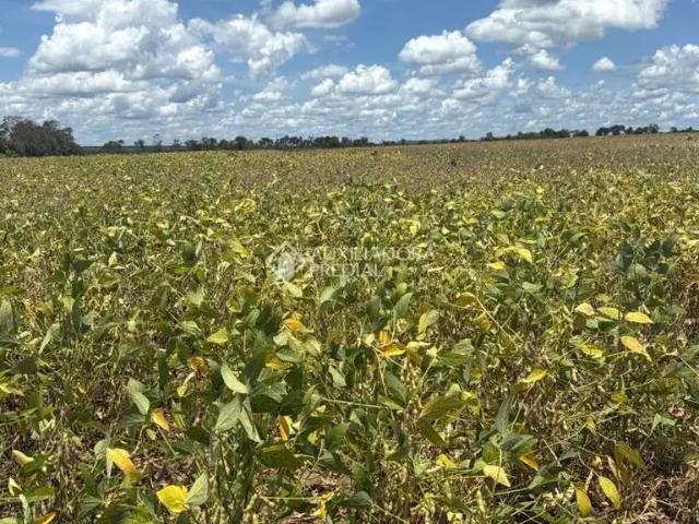 Fazenda para Venda em Água Boa/MT Centro