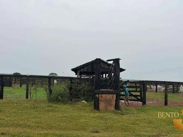 Fazenda para Venda em Água Clara/MS Zona Rural