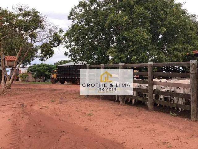 Fazenda para Venda em Água Clara/MS Zona Rural
