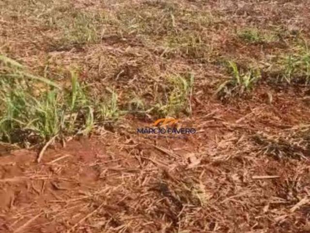 Fazenda para venda em Aguaí