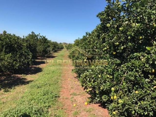 Fazenda para Venda em Águas de Santa Bárbara, rural