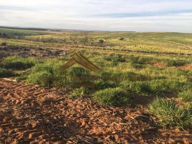 Fazenda para Venda em Águas de Santa Bárbara/SP Zona Rural