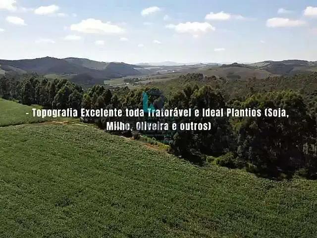Fazenda para Venda em Aiuruoca/MG Zona Rural