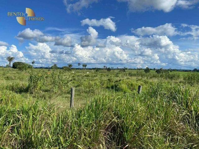 Fazenda para Venda em Alta Floresta/MT Zona Rural