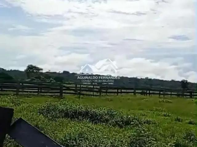 Fazenda para Venda em Alta Floresta/MT Zona Rural