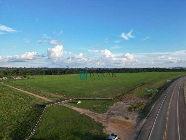 Fazenda para Venda em Altamira/PA Nova Altamira