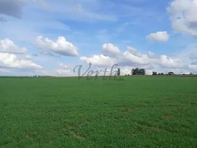 Fazenda para Venda em Alterosa/MG Centro 6 Quartos