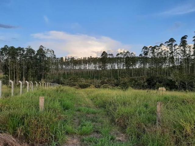 Fazenda para Venda em Altinópolis, RURAL