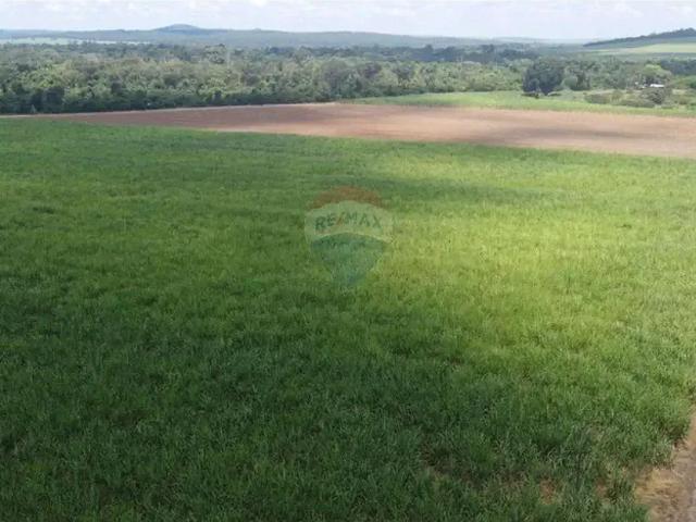 Fazenda para Venda em Altinópolis/SP Centro