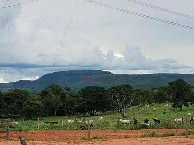 Fazenda para Venda em Alto Araguaia/MT Zona Rural