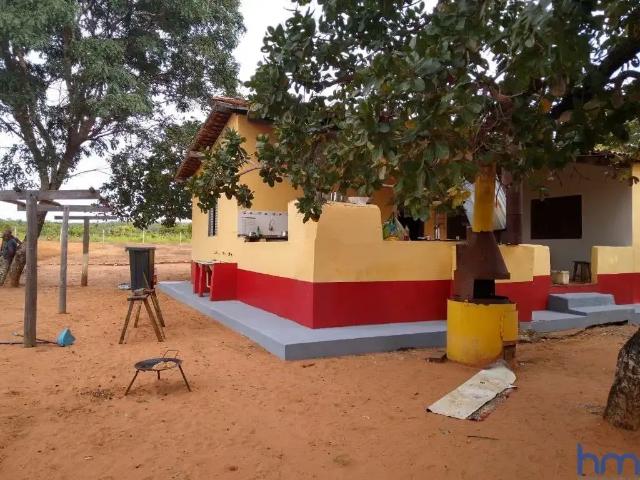 Fazenda para Venda em Alto Parnaíba/MA Zona Rural