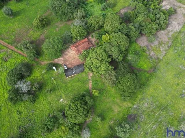 Fazenda para Venda em Alvorada/TO Zona Rural