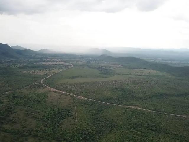 Fazenda para Venda em Alvorada/TO Zona Rural