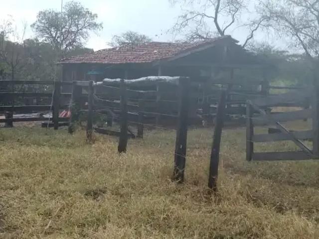 Fazenda para Venda em Alvorada do Norte/GO Zona Rural
