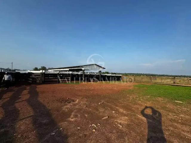 Fazenda para Venda em Alvorada D'Oeste/RO Centro
