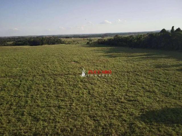 Fazenda para Venda em Alvorada D'Oeste/RO Centro 5 Quartos