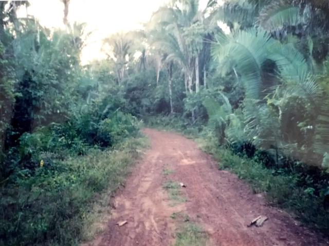 Fazenda para Venda em Aldeias Altas/MA Zona Rural