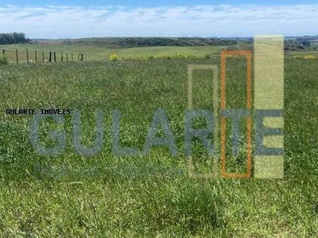 Fazenda para venda em Alegrete