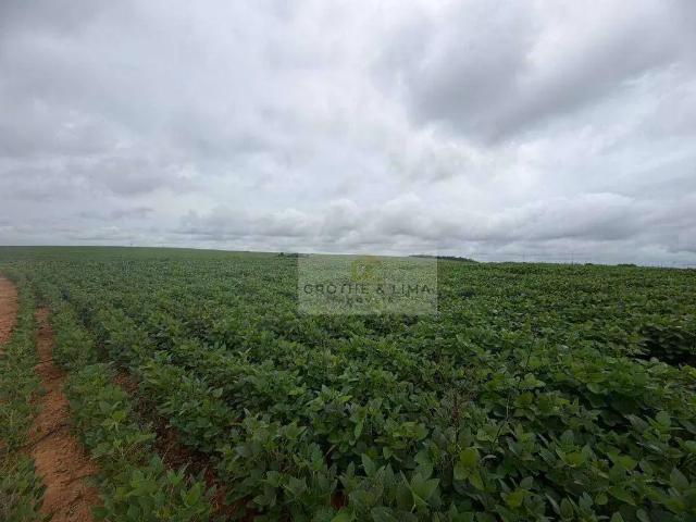 Fazenda para Venda em Alfenas/MG Parque das Nações