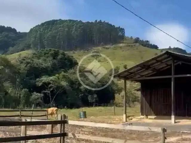 Fazenda para Venda em Alfredo Wagner/SC Zona Rural 1 Quartos