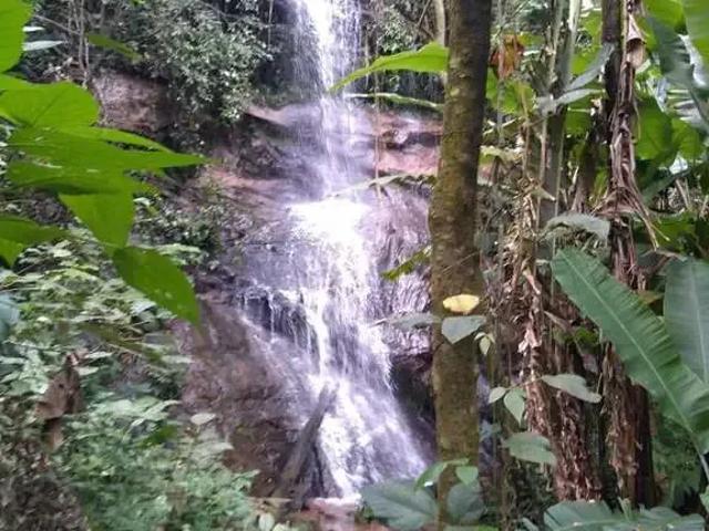 Fazenda para Venda em Alfredo Chaves/ES Ribeirão do Cristo 2 Quartos