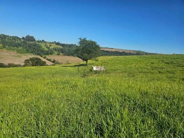 Fazenda para Venda em Apucarana/PR Área Rural de Apucarana 8 Quartos