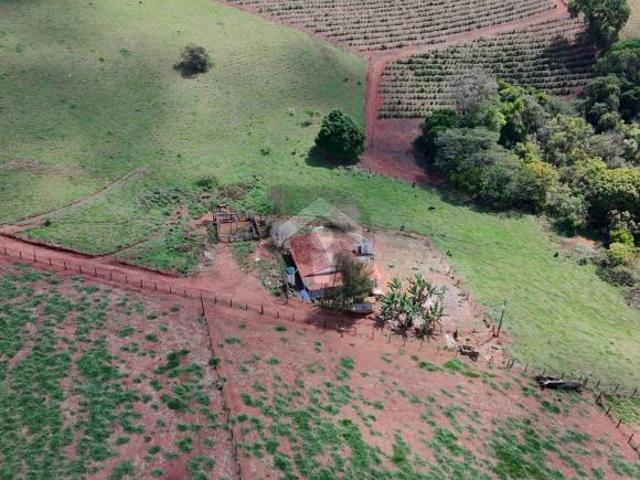Fazenda para venda em Aparecida, Alfenas