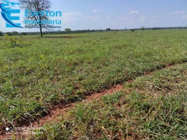 Fazenda para Venda em Aparecida do Rio Doce/GO Zona Rural