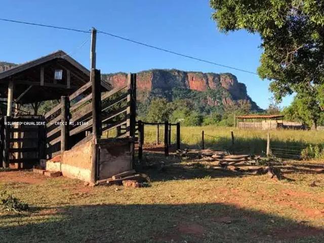 Fazenda para Venda em Aquidauana/MS Camisão