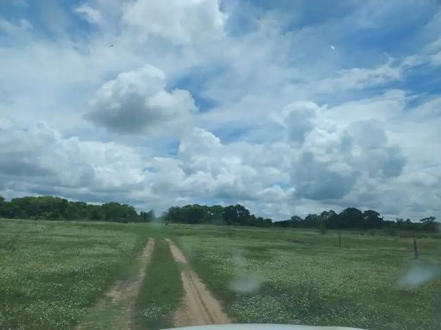 Fazenda para Venda em Aquidauana/MS Zona Rural