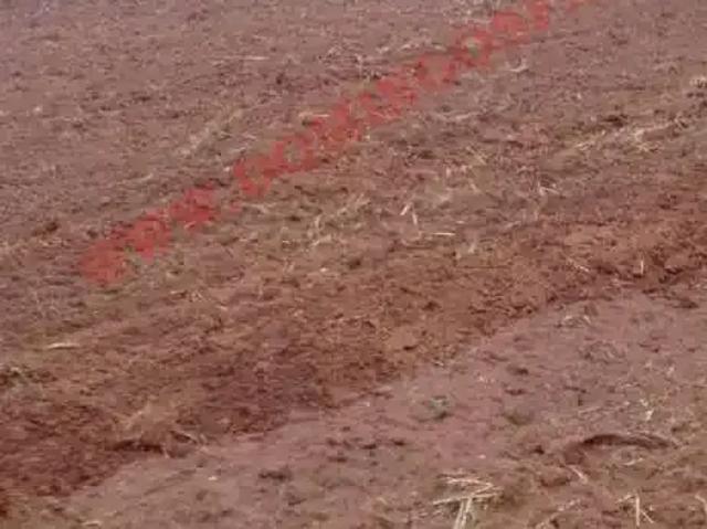 Fazenda para Venda em Artur Nogueira/SP Área Rural de Artur Nogueira