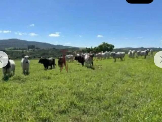 Fazenda para Venda em Araçoiaba da Serra/SP Farias 3 Quartos