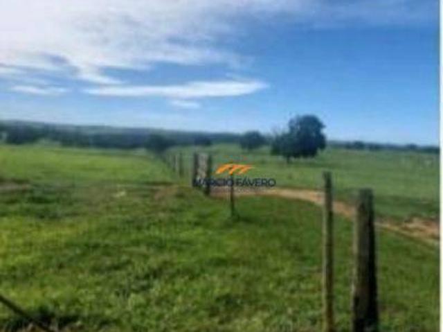 Fazenda para venda em Araçatuba