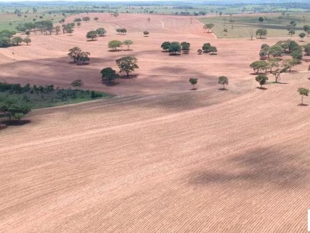 Fazenda para venda em Araçatuba