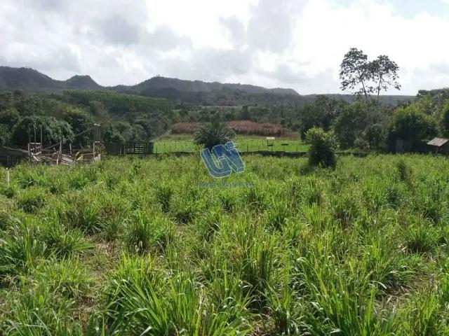 Fazenda para Venda em Araçás/BA Centro 1 Quartos