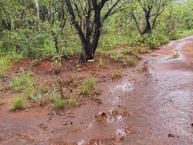 Fazenda para Venda em Araguacema/TO Zona Rural