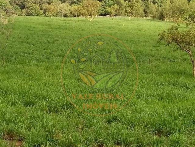 Fazenda para Venda em Araguaína/TO Setor Central