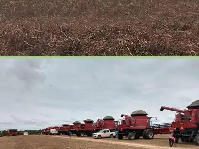 Fazenda para Venda em Araguaína/TO Setor Central