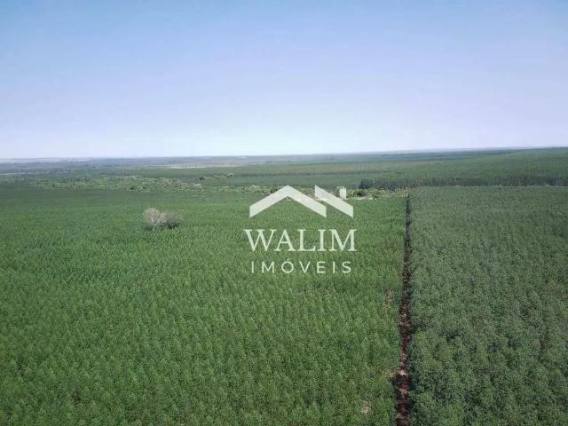 Fazenda para Venda em Araguaiana/MT Zona Rural