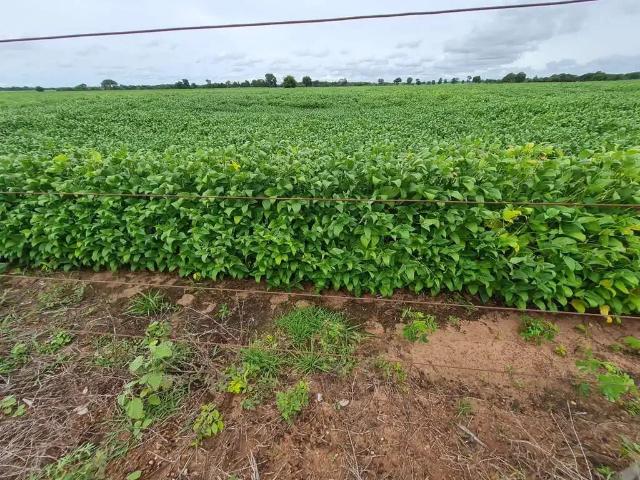 Fazenda para Venda em Araguapaz/GO Zona Rural