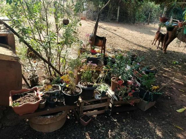 Fazenda para Venda em Araguari/MG Área Rural de Araguari 1 Quartos