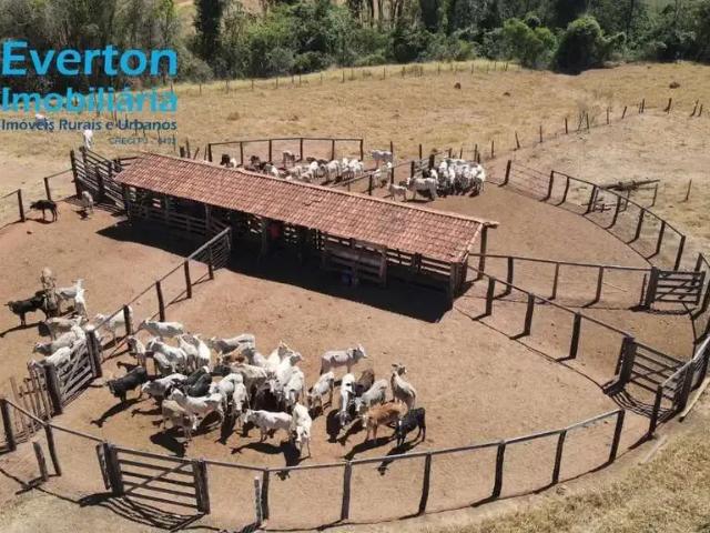 Fazenda para Venda em Araguari/MG Área Rural de Araguari