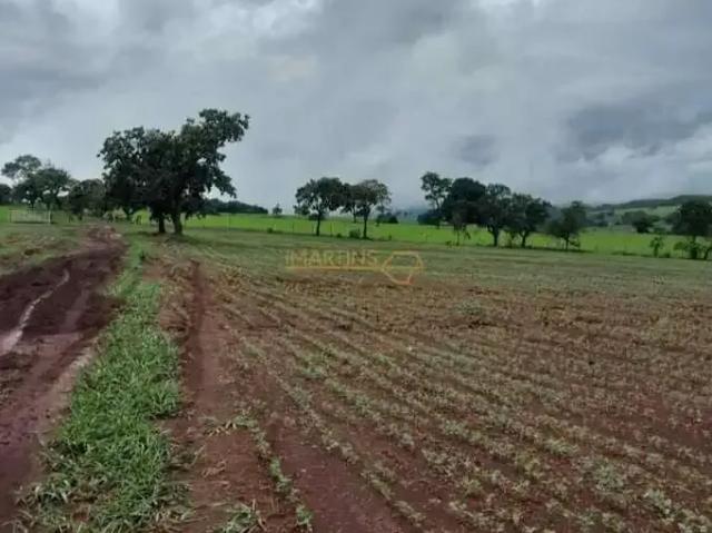 Fazenda para Venda em Araguari/MG Área Rural de Araguari 3 Quartos