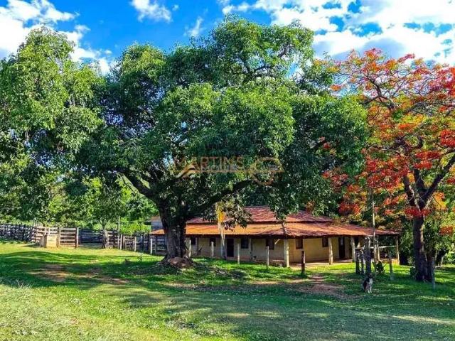 Fazenda para Venda em Araguari/MG Área Rural de Araguari 4 Quartos