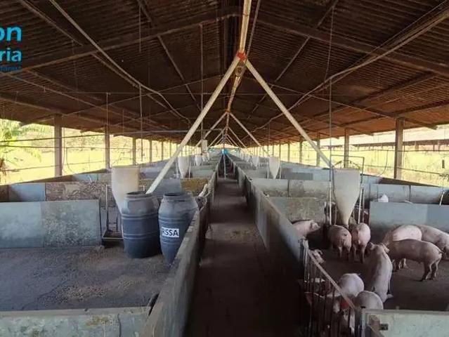 Fazenda para Venda em Araguari/MG Área Rural de Araguari 5 Quartos