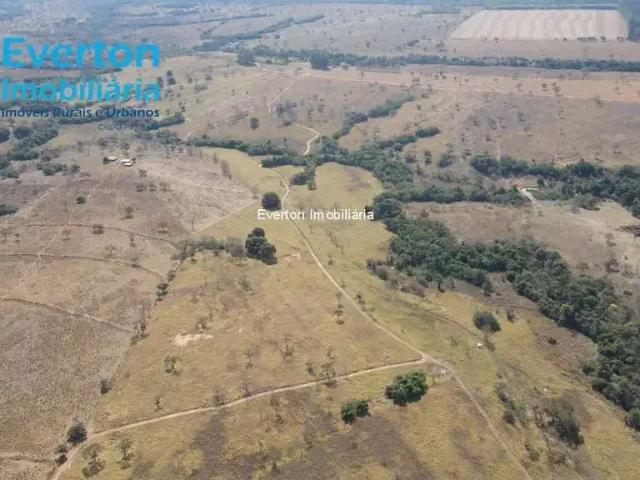 Fazenda para Venda em Araguari/MG Área Rural de Araguari