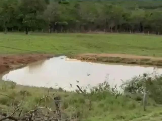 Fazenda para Venda em Araguari/MG Área Rural de Araguari