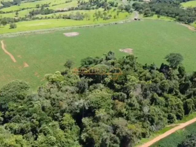 Fazenda para Venda em Araguari/MG Centro